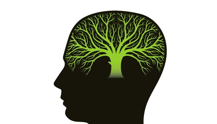 Micro Losses for Macro Learnings – Austin Fabel